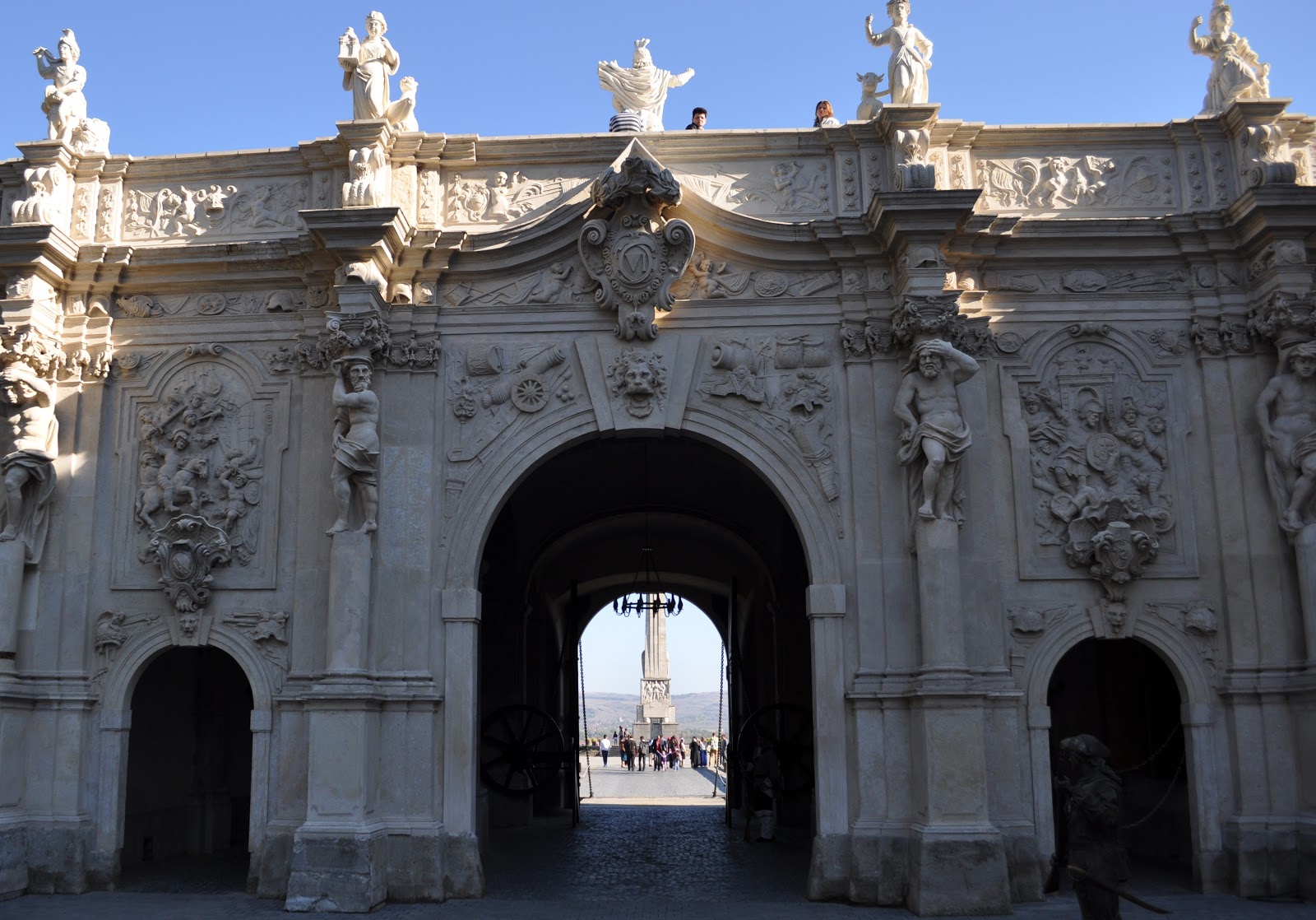 Poze, Natura, Animale, Plante, Romania, Valcea, Ionut Ungureanu