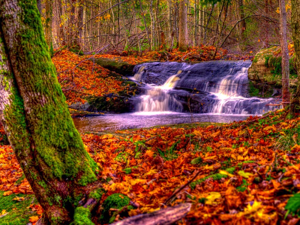 Imagini de Toamna - Poze Imagini Desktop