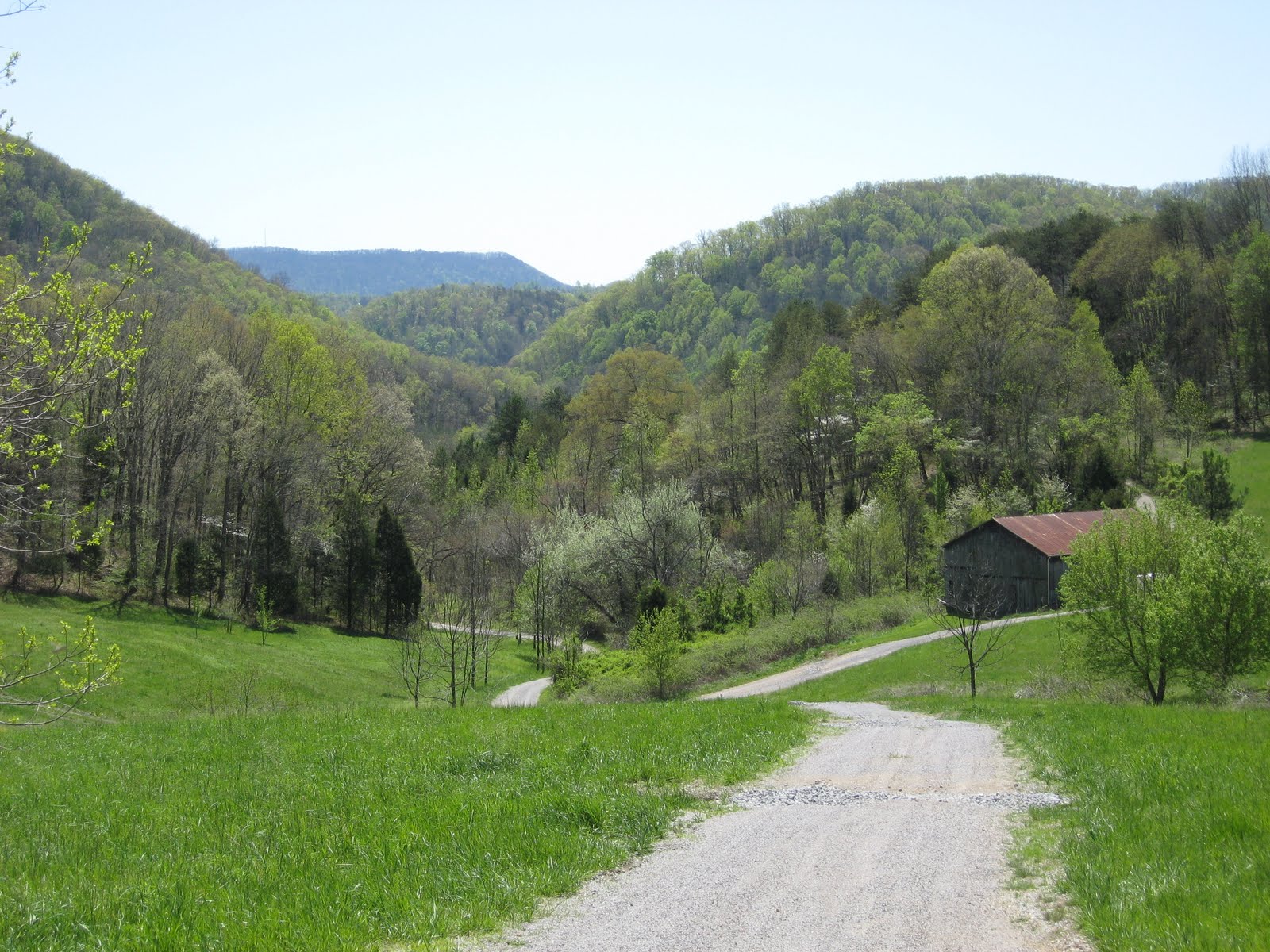 Food, Literature, Philosophy: Tennessee Love