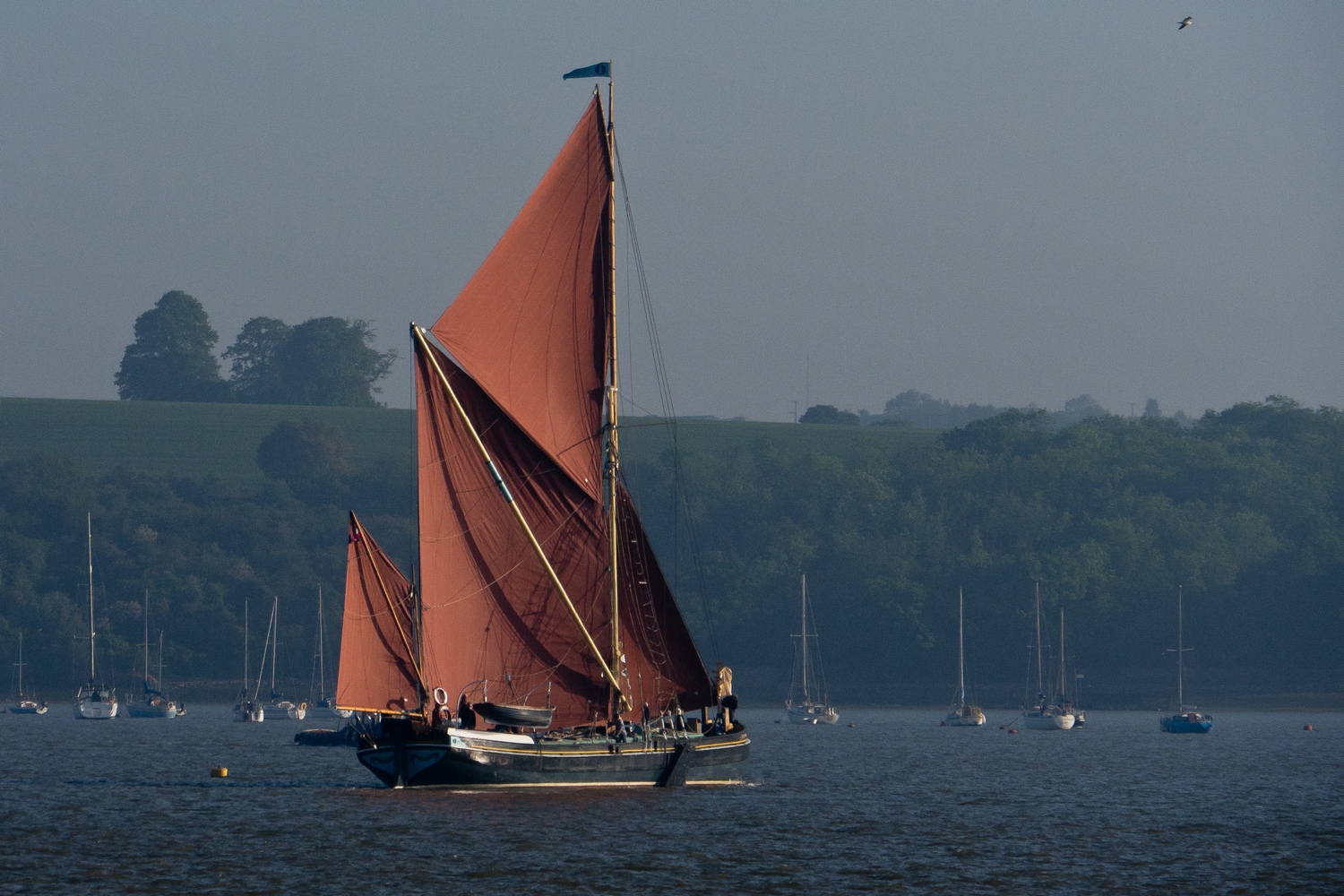 Michael Goodes: Medway Barge Sailing Match Start.