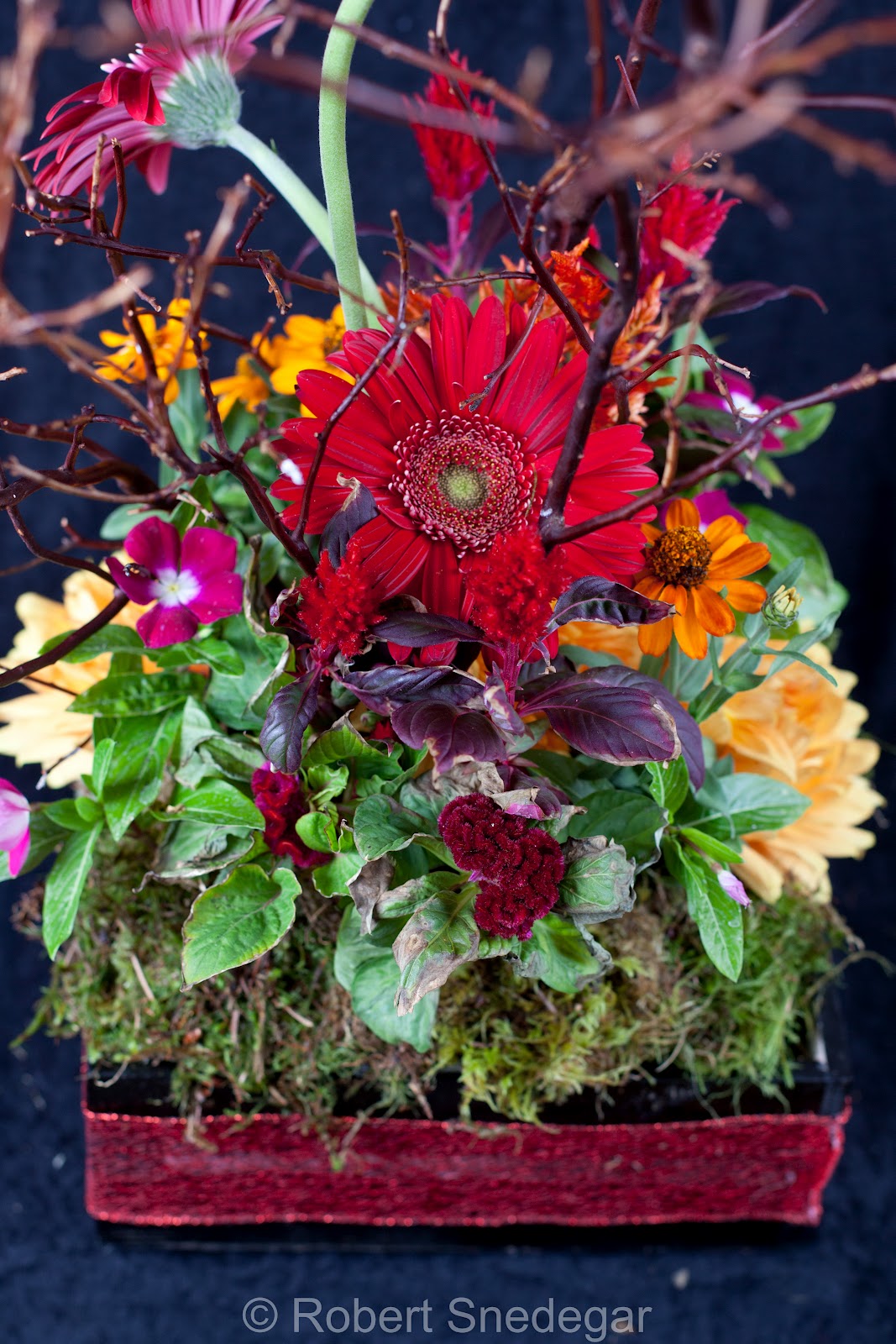 Sassy Diva Designs and Events