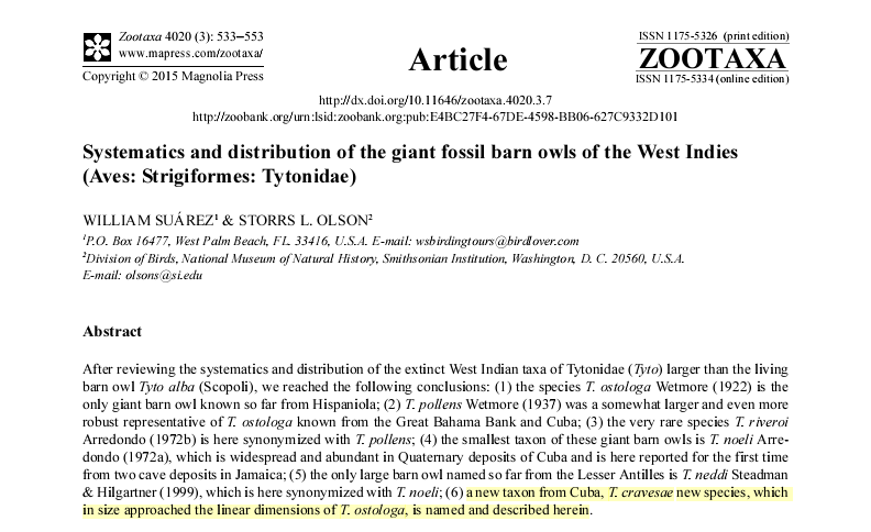 Net Results: Introducing Craves’s Giant Barn Owl!