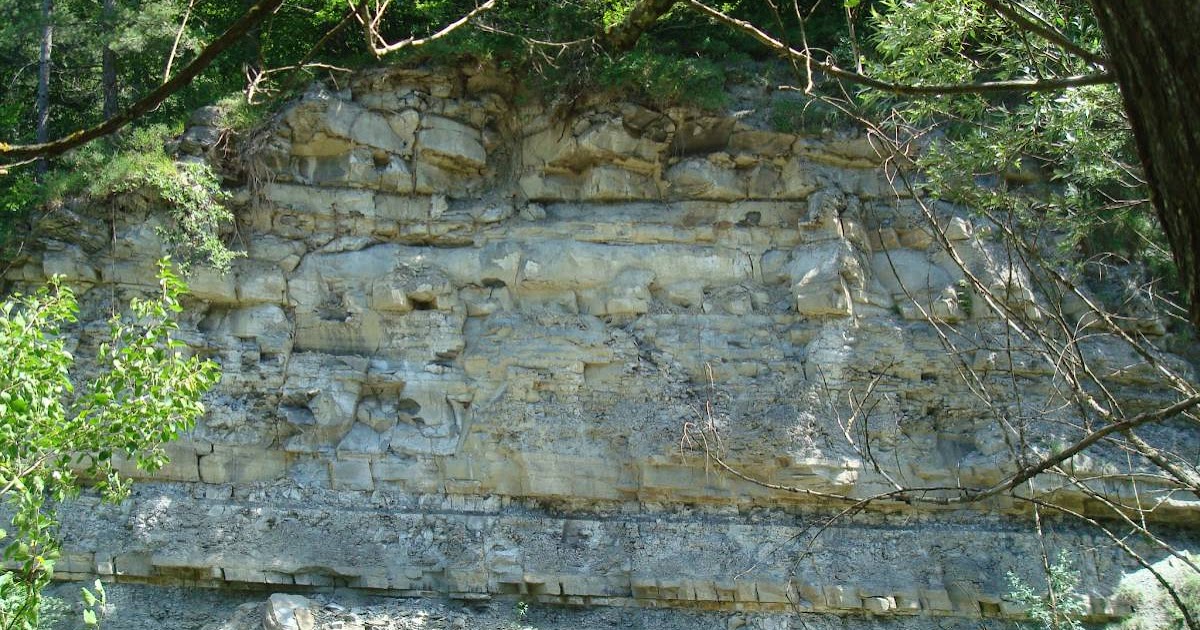 French Vocabulary Illustrated: marne