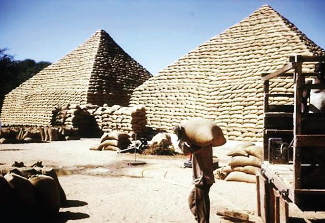 Groundnut pyramids in Kano State, Nigeria | AfricanEagle