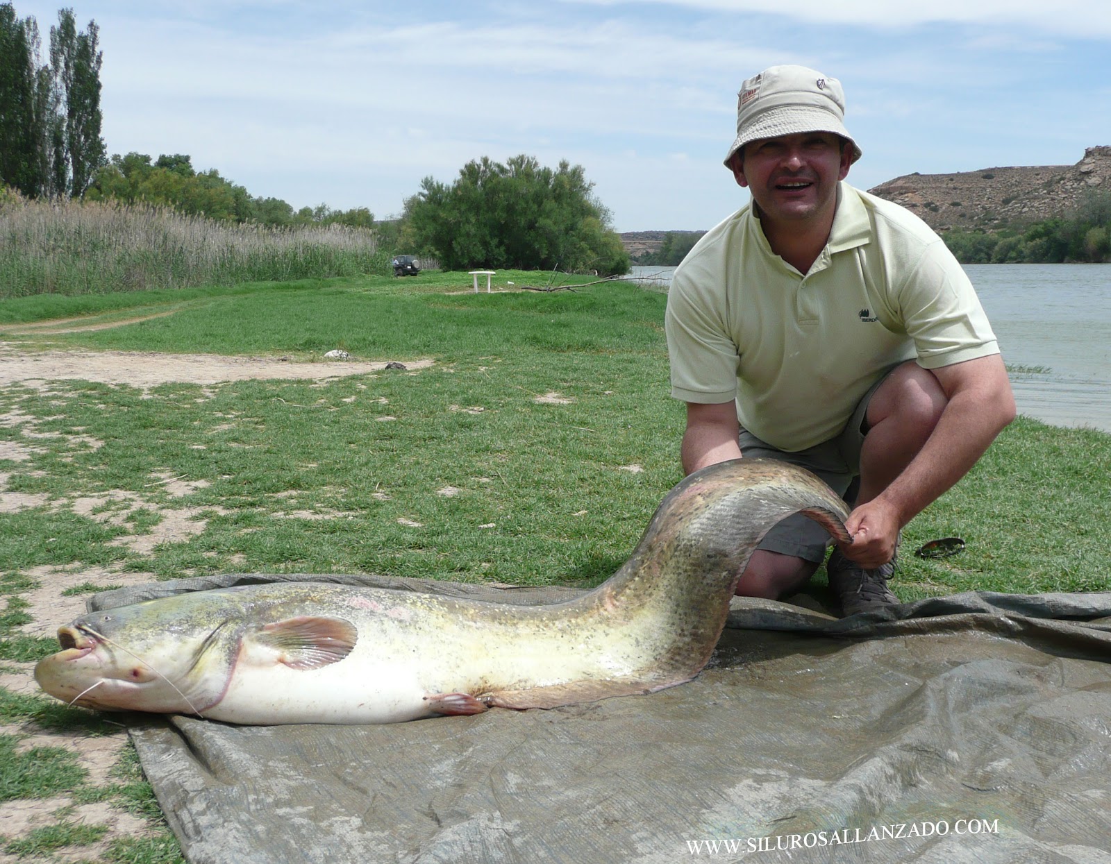 GUIDE DE PÊCHE DU SILURE ET DU SANDRE À MEQUINENZA: MEQUINENZA PÊCHE ...