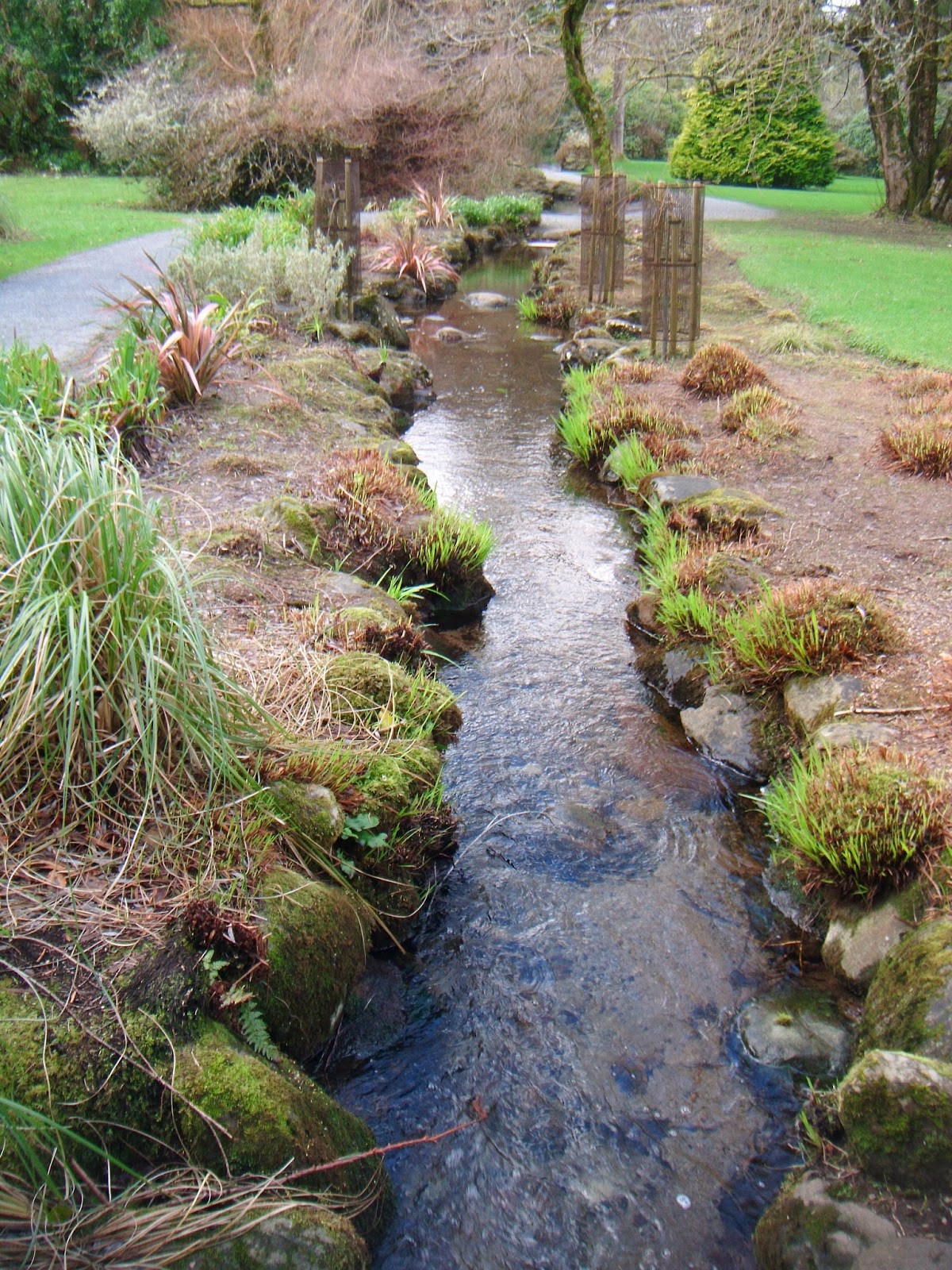 The Carrigaline Crusty: The Irish Winter Landscape