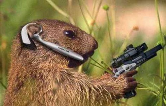 Cute Funny Animalz: Funny Animals with Guns