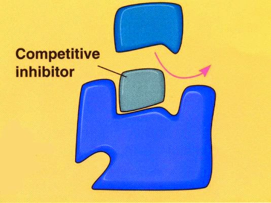 Pengertian Inhibitor