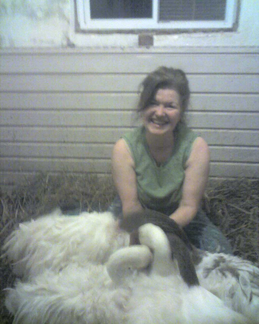 Breed Savers: Sebastopol Geese - The Goose With a Curly "Perm"