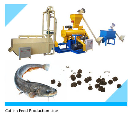 Amisy Fish Feed Machinery: Catfish Feed Production Formulation & Process