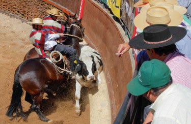 Ciudades hermosas: El Champion de Chile "El Rodeo"