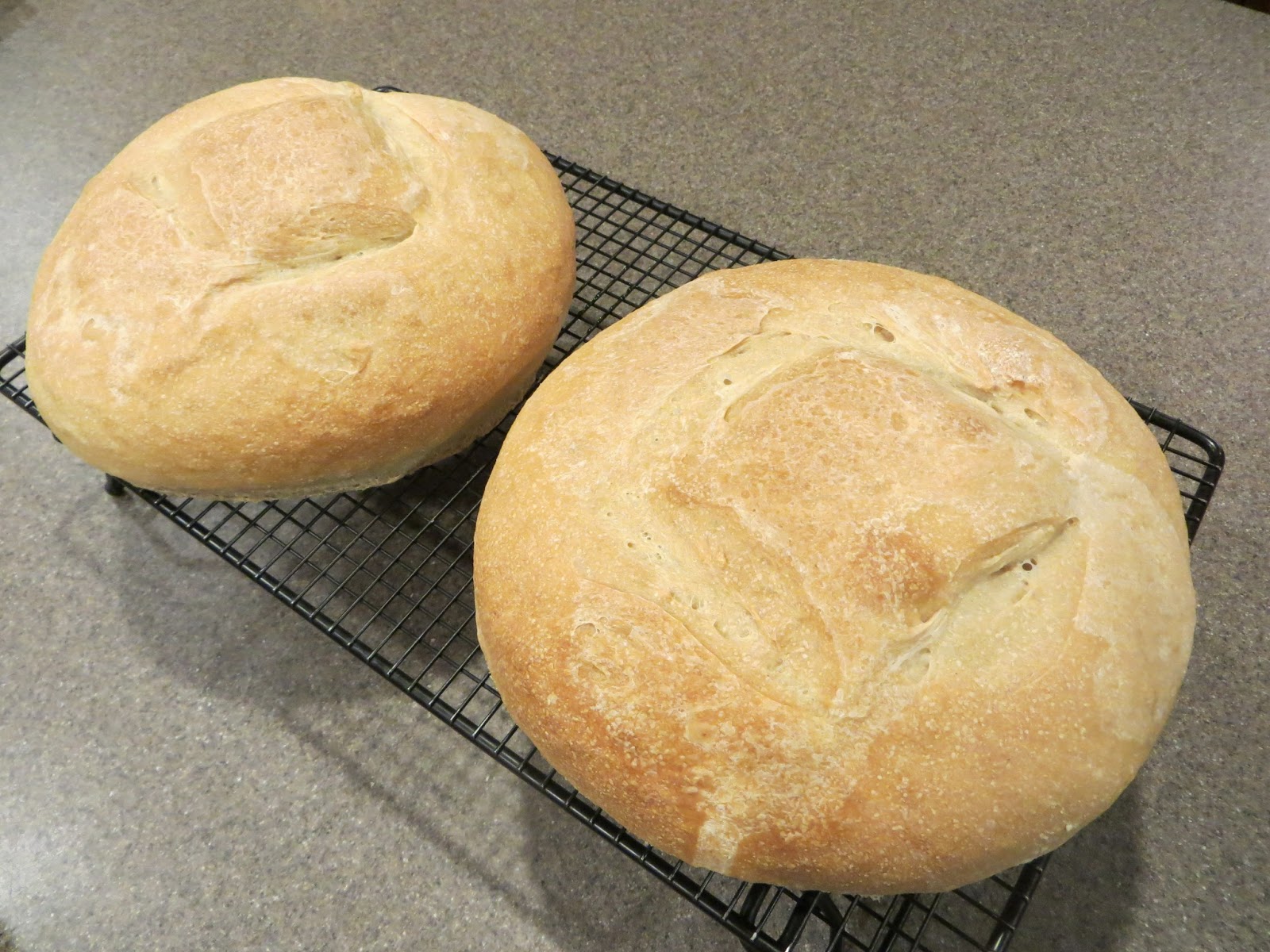 Adventures with Natural Yeast: Natural Yeast Sourdough Loaves
