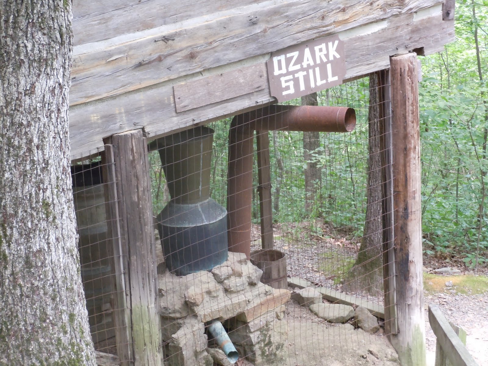 What a Country!: Natural Bridge - Clinton, Arkansas