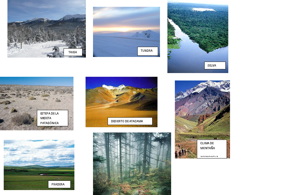 Geografía de América: Climas y Biomas en América