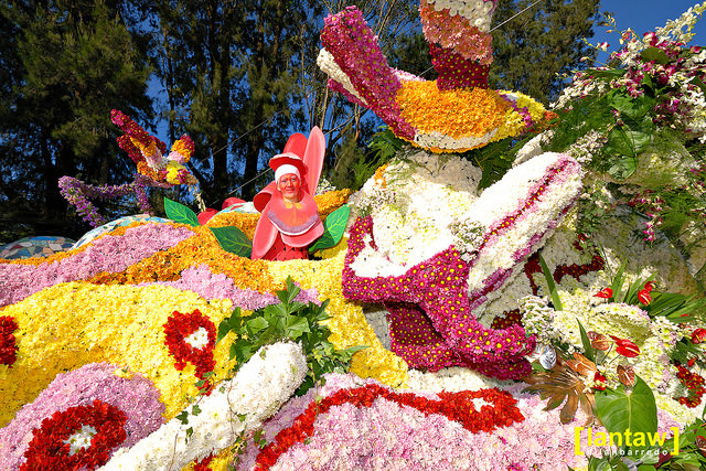 Lantaw - Philippines Outdoor and Travel Photos: baguio : panagbenga ...