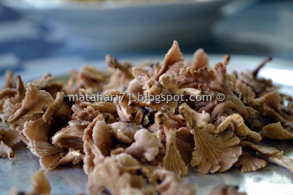 MATAHARI71: Masak Lemak Cendawan Kukur