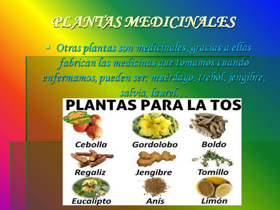 Cosas de niños para la escuela: TODO SOBRE LAS PLANTAS