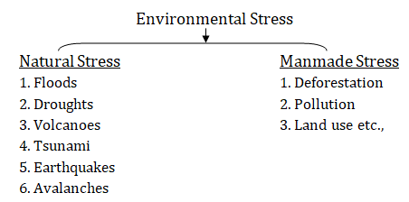 TPCE Mech Books: Environmental hazards, Environmental Disasters and ...