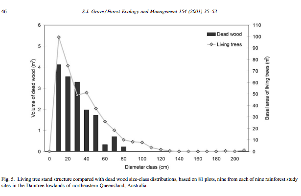 The Daintree Rainforest: Welcome to the World's Oldest Forest!