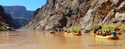 kinexxions: Day 14 - Pumpkin Springs to Mile 241