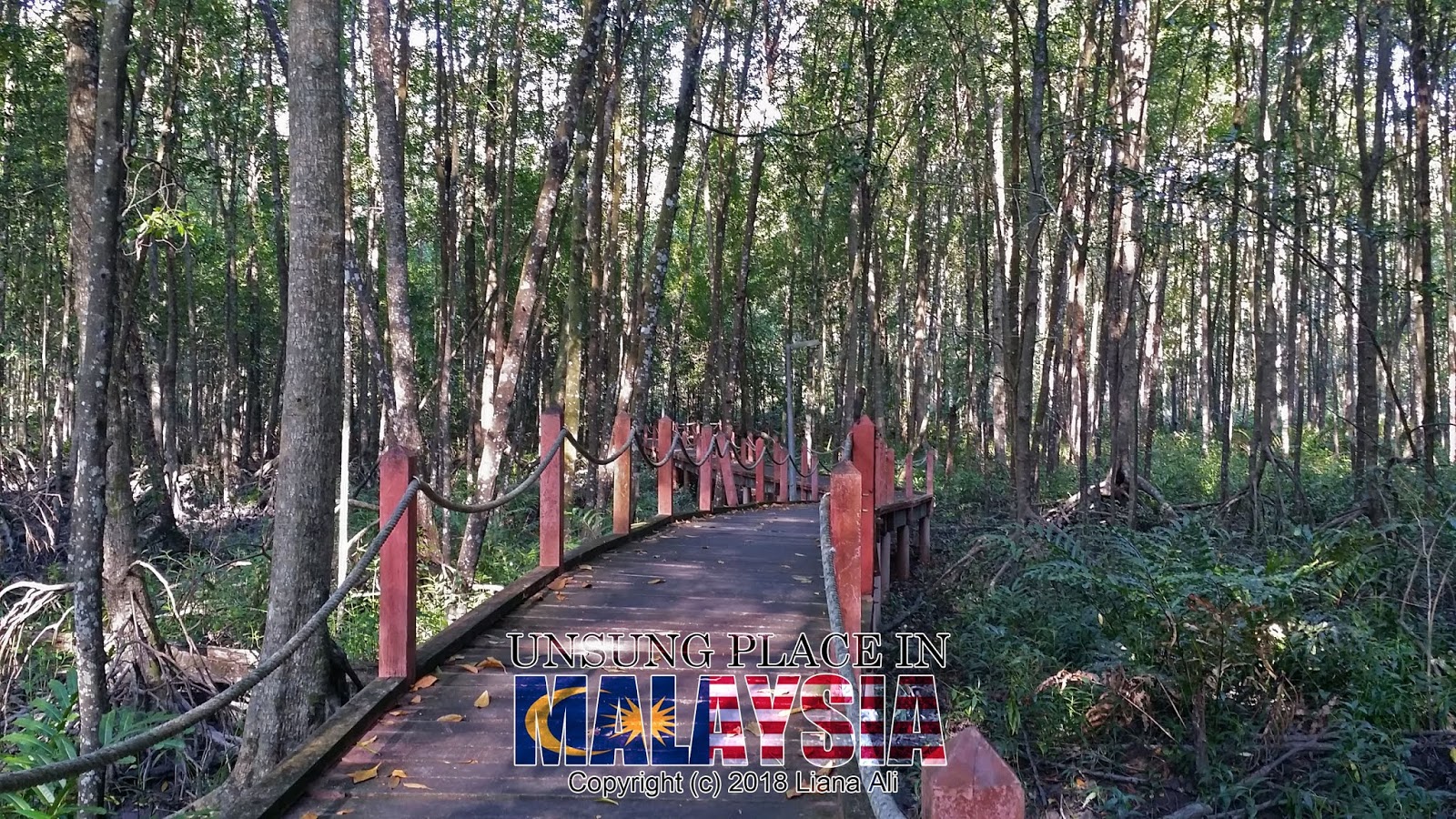 Jalan² ke Hutan Paya Laut Matang, Perak