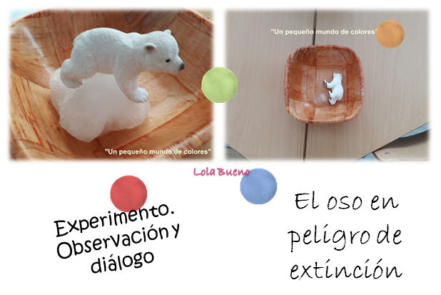 UN PEQUEÑO MUNDO DE COLORES: Proyeto: Los osos polares 2
