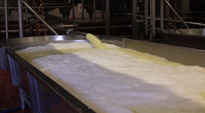 Cheese Making Process - Do you know how to make cheese? - Making Process