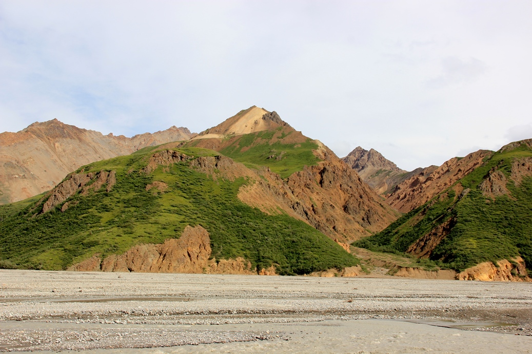 Joy of Discovery: Toklat, Denali National Park