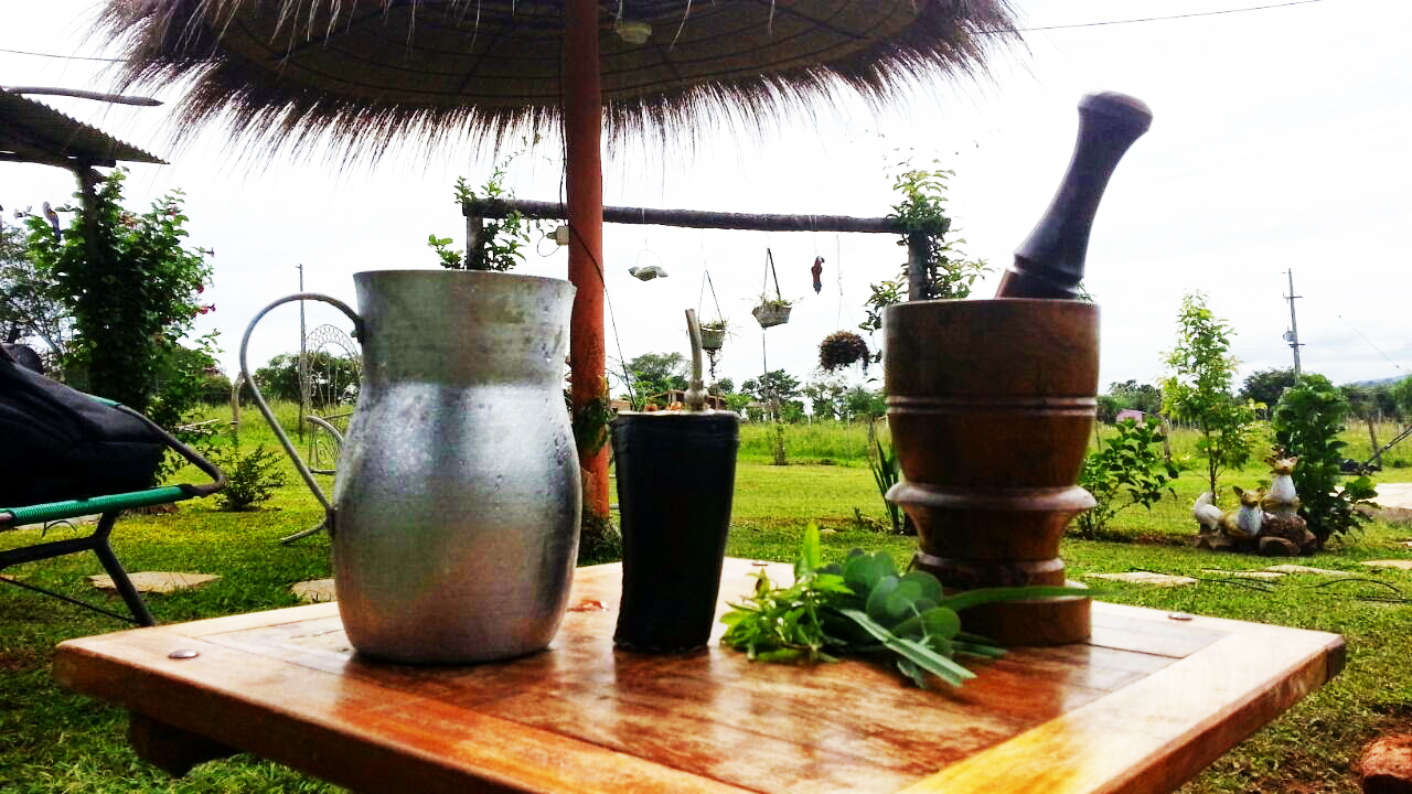 Crónicas de la Tierra sin Mal : El tereré