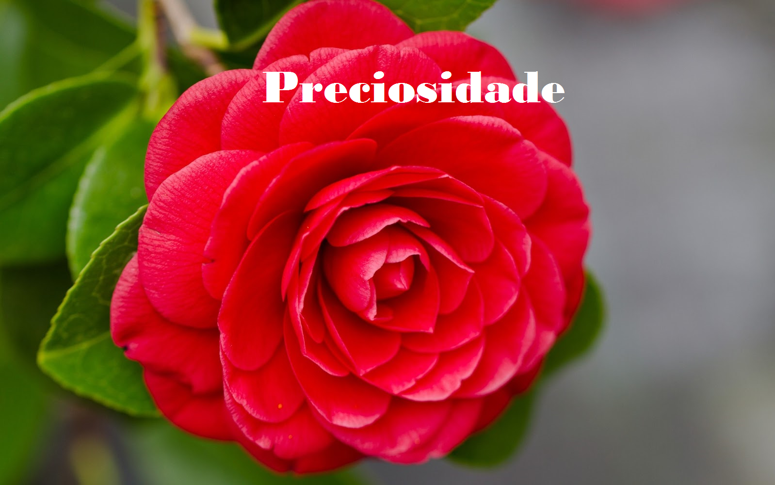 Mensagens para quem ama Jesus: Preciosidade