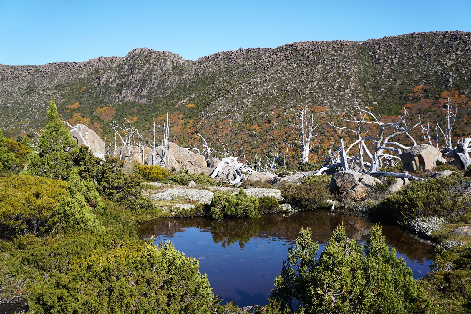 Tarn Shelf Circuit (Mount Field National Park) ~ The Long Way's Better