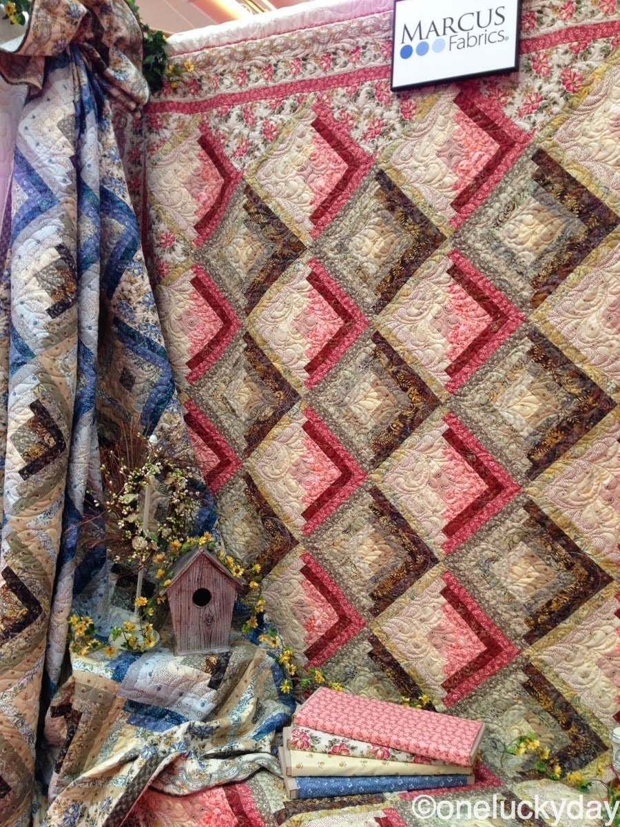 One Lucky Day: Eclectic Elements Fabric