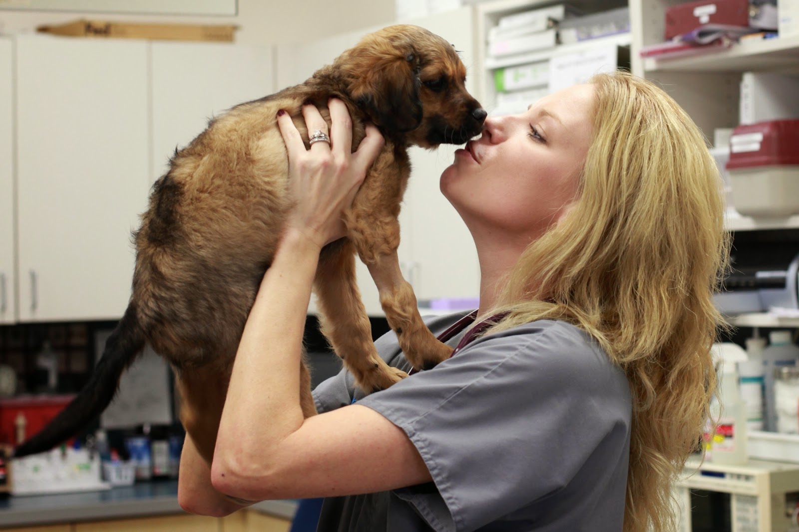 1st Pet Veterinary Centers Blog: 1st Pet welcomes Dr. Heather Lindgren!