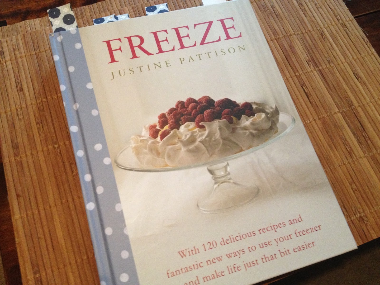 A Kick At The Pantry Door: Book Review: 'Freeze' by Justine Pattison