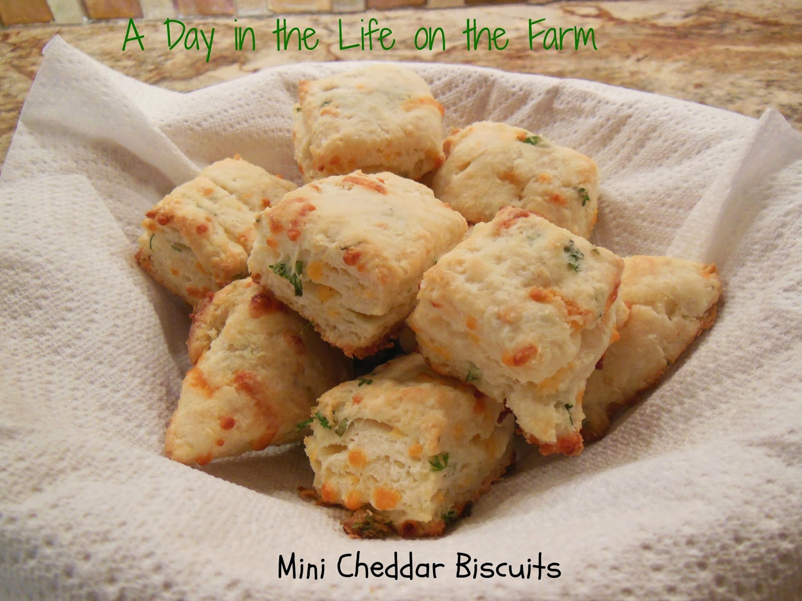 A Day in the Life on the Farm: Seasonal Saturday