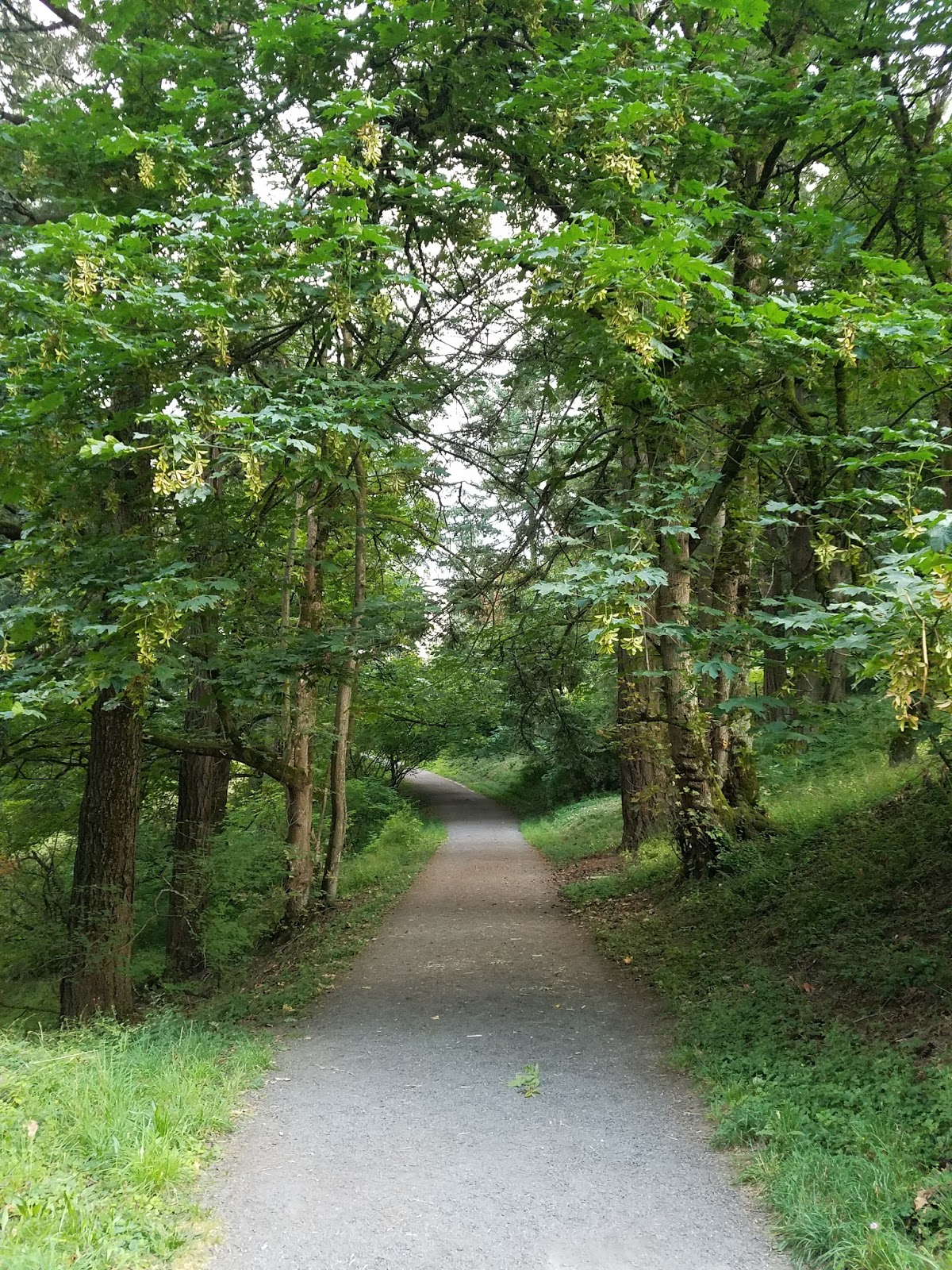 Dave Goes Outside: Portland Stairs Quest 4: Mt. Tabor