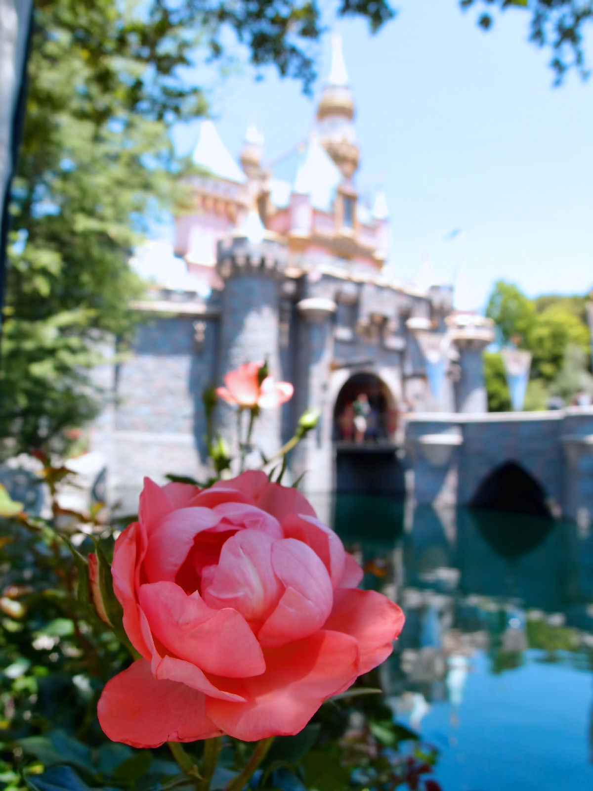 Confessions of a Grieving Mother: No Place That Far....