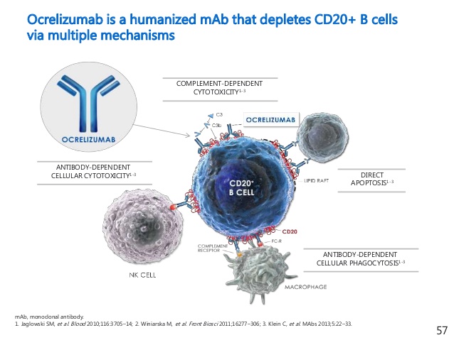 Esclerodiario empp - emsp: Ocrelizumab: eficacia y seguridad en la ...
