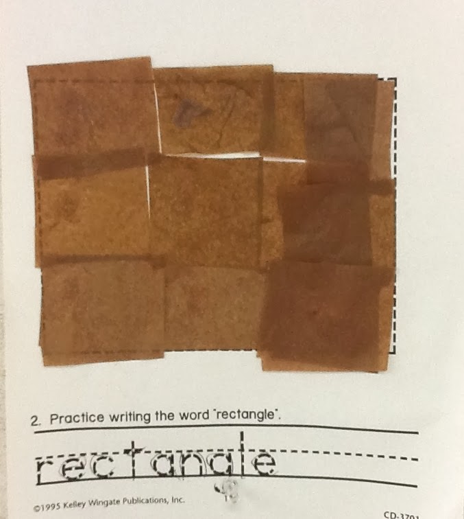 Christina's Kinder Blossoms: Shapes Week