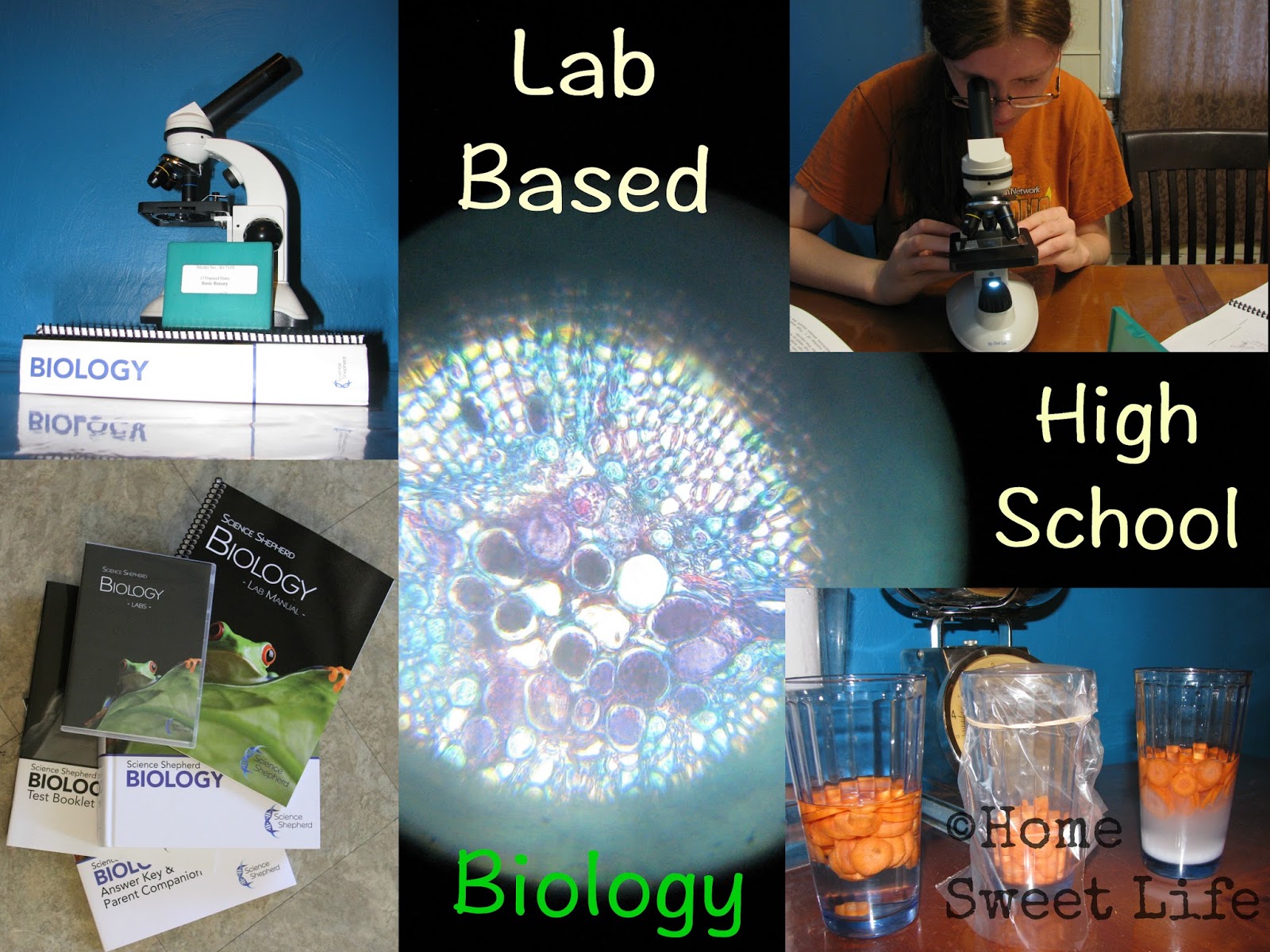 Home Sweet Life: Science Shepherd Biology ~ High School Biology with ...