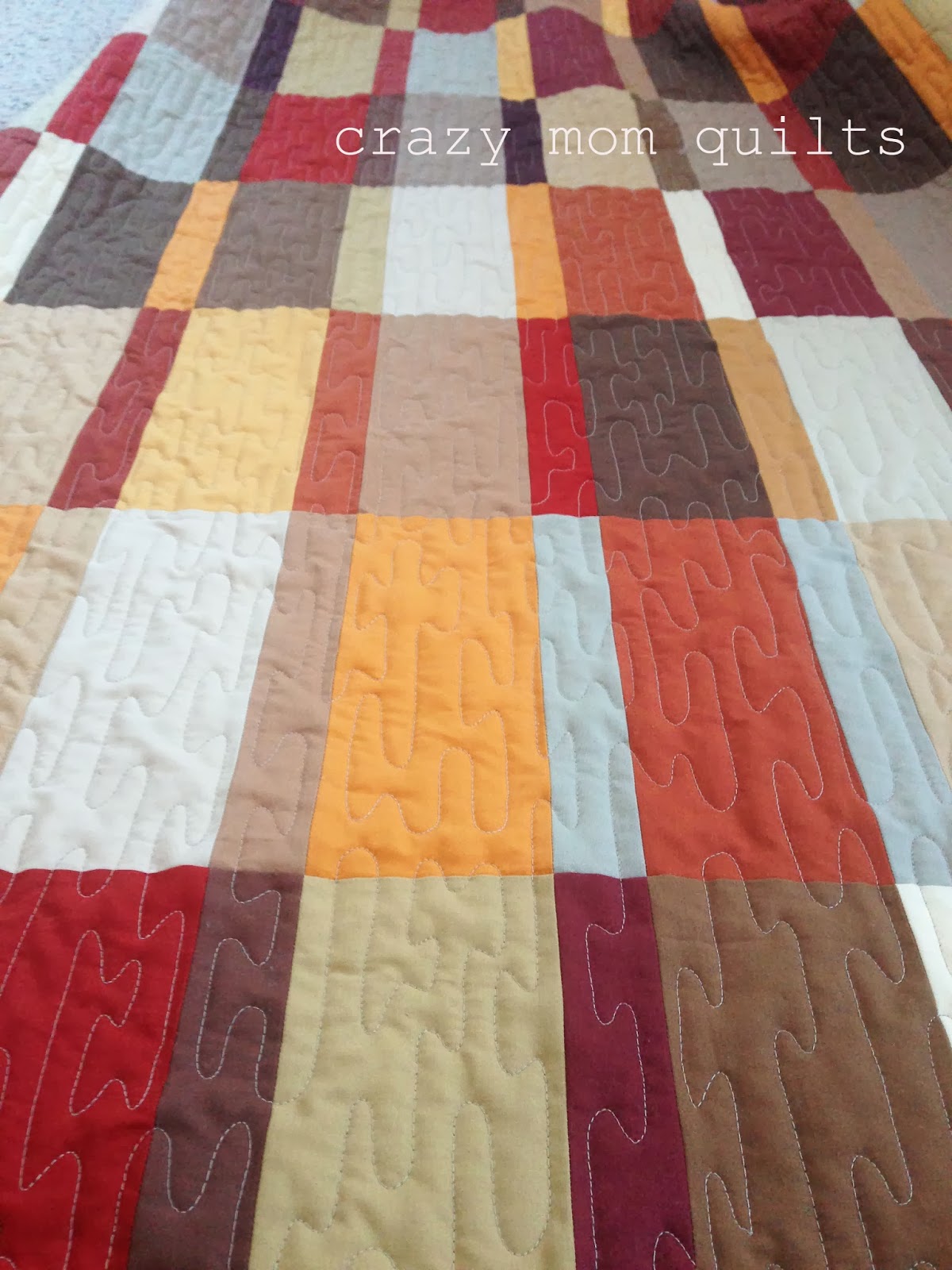 crazy mom quilts: 2013