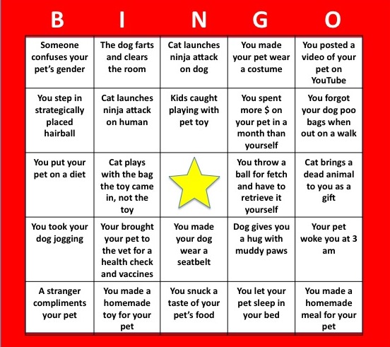 Vetwrite: Pet Owner's Bingo