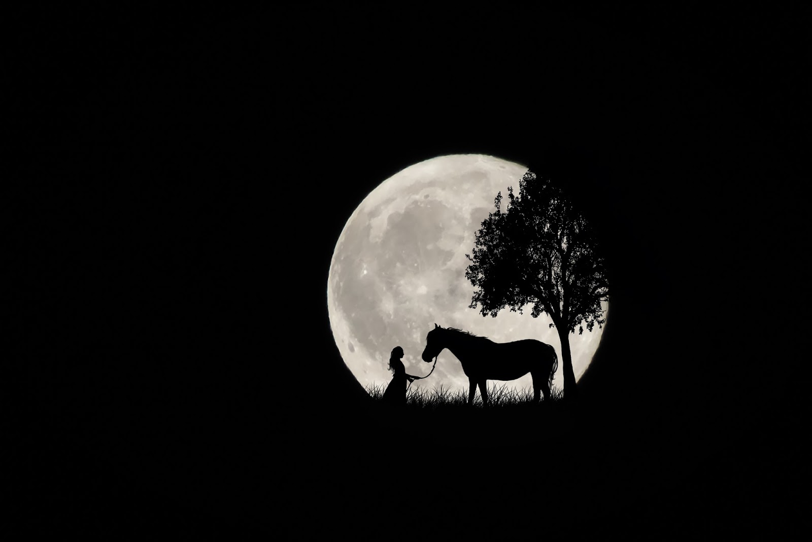 Moon Photography Creative