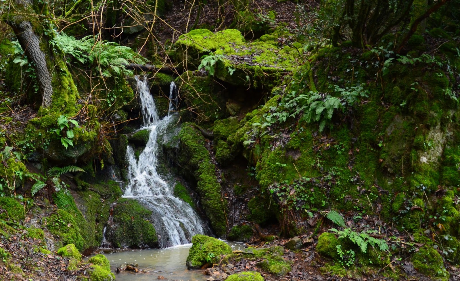 DROMESCAPE - Randonnées en Drôme et Escapades photographiques: Les ...
