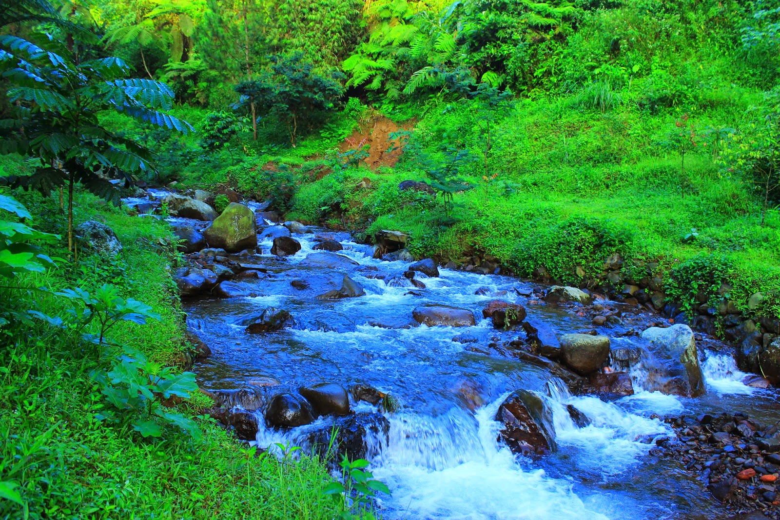 Capolaga Adventure Camp Landscape