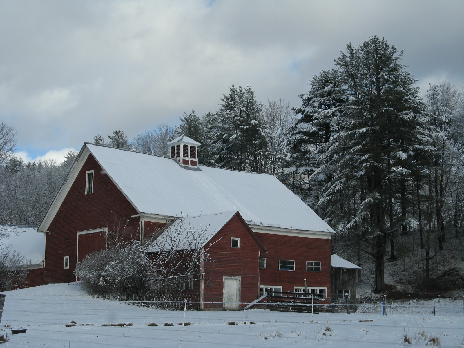 Animal Instinct: Christmas Snow Barns