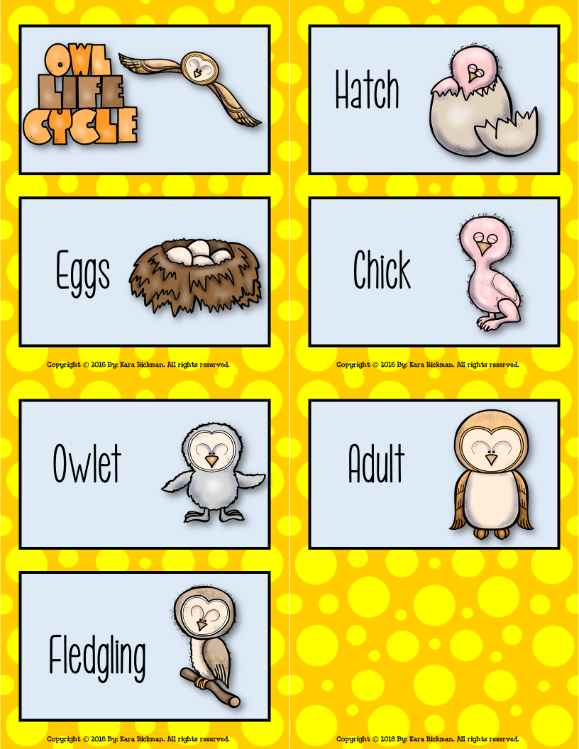 Create Your Balance With Literacy