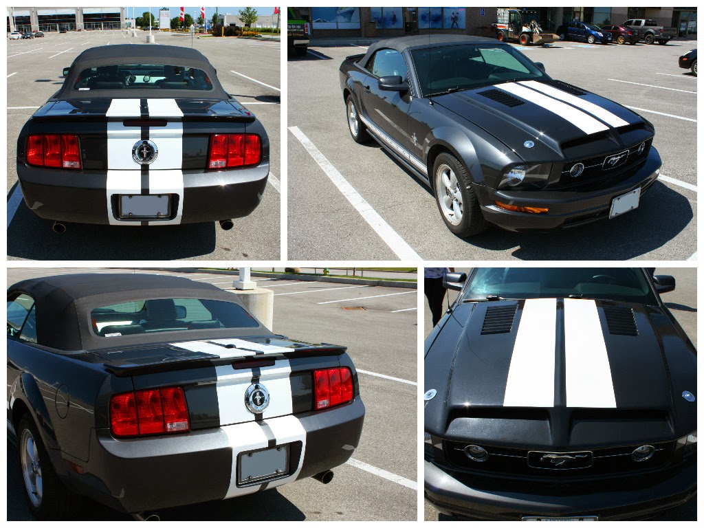 Custom Mustang Stripes - Eminent Custom Graphics inc.