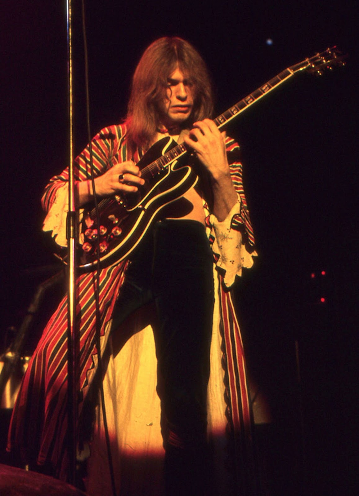 Forestdweller: Steve Howe