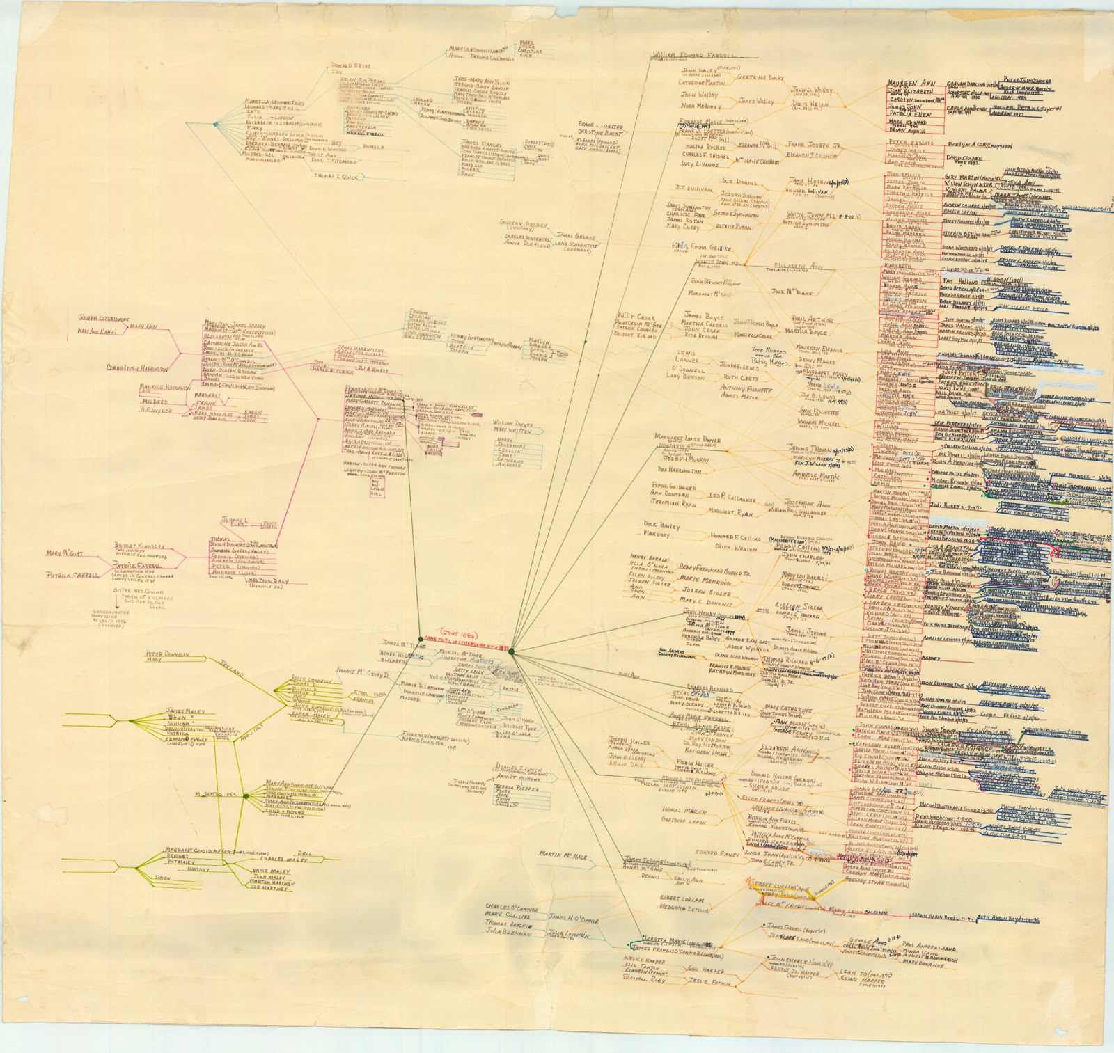 Dushore Farrell Family Blog: Farrell Family Tree/ Golden Wedding at ...